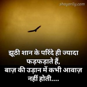 Parindey Shayari On Attitude